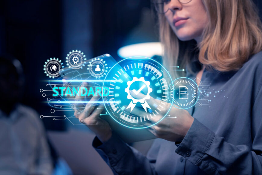 How to Develop High-Quality Software on a Budget - SnabbTech